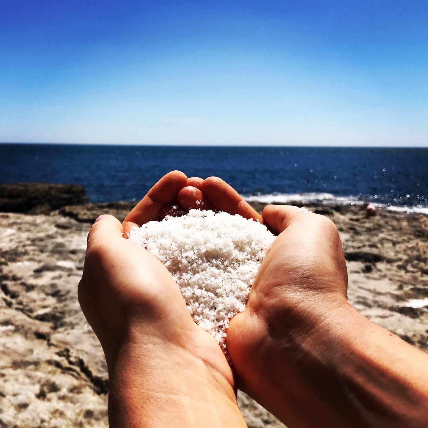 Sea Salt – ForageForKnowledge