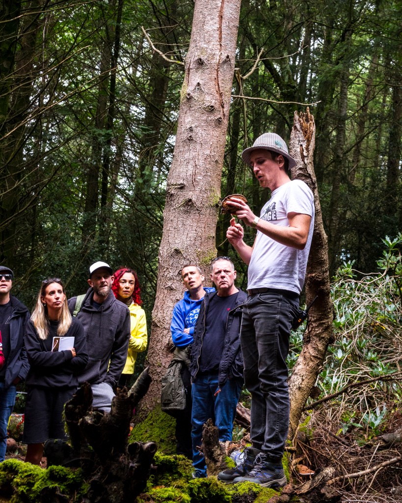 Foraging Walks – ForageForKnowledge