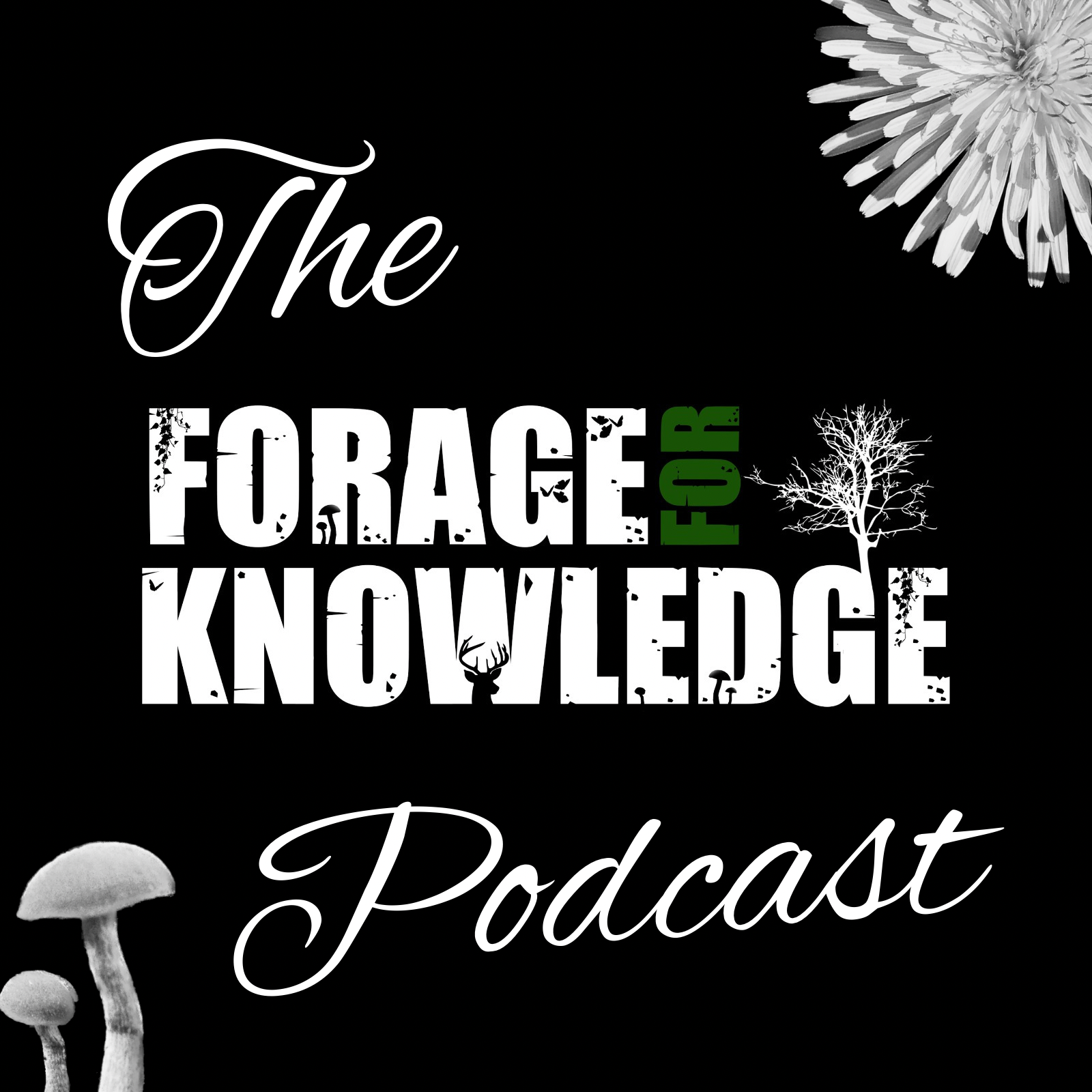 The Forage For Knowledge Podcast – ForageForKnowledge